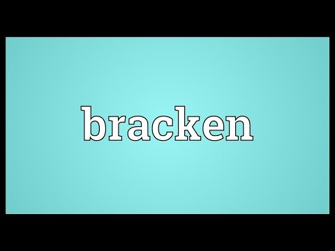 Bracken Meaning