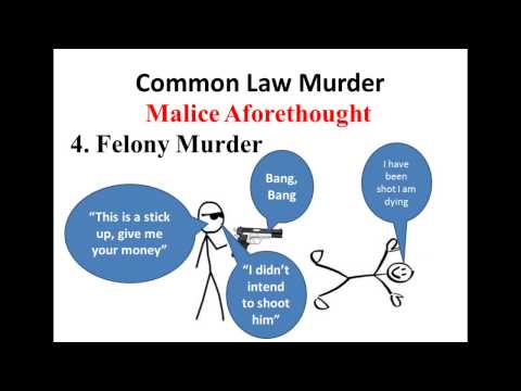 Criminal Law Video 7 - Murder - Intentional Killing