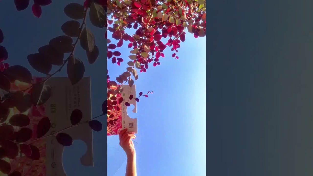 Six Printed Fabrics in One View | Patterns, Color & Texture