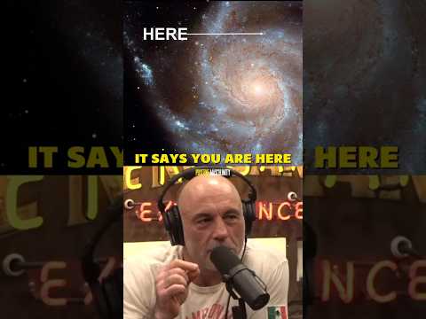 Joe Rogan On The Meaning Of Life