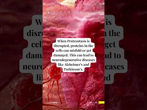 🔬 Proteostasis for Bio Rejuvenation: The Secret to Healthy Aging 🔬