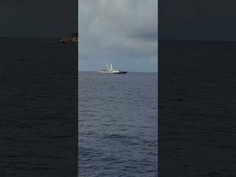 Purse Seiner ( Korean Boat )