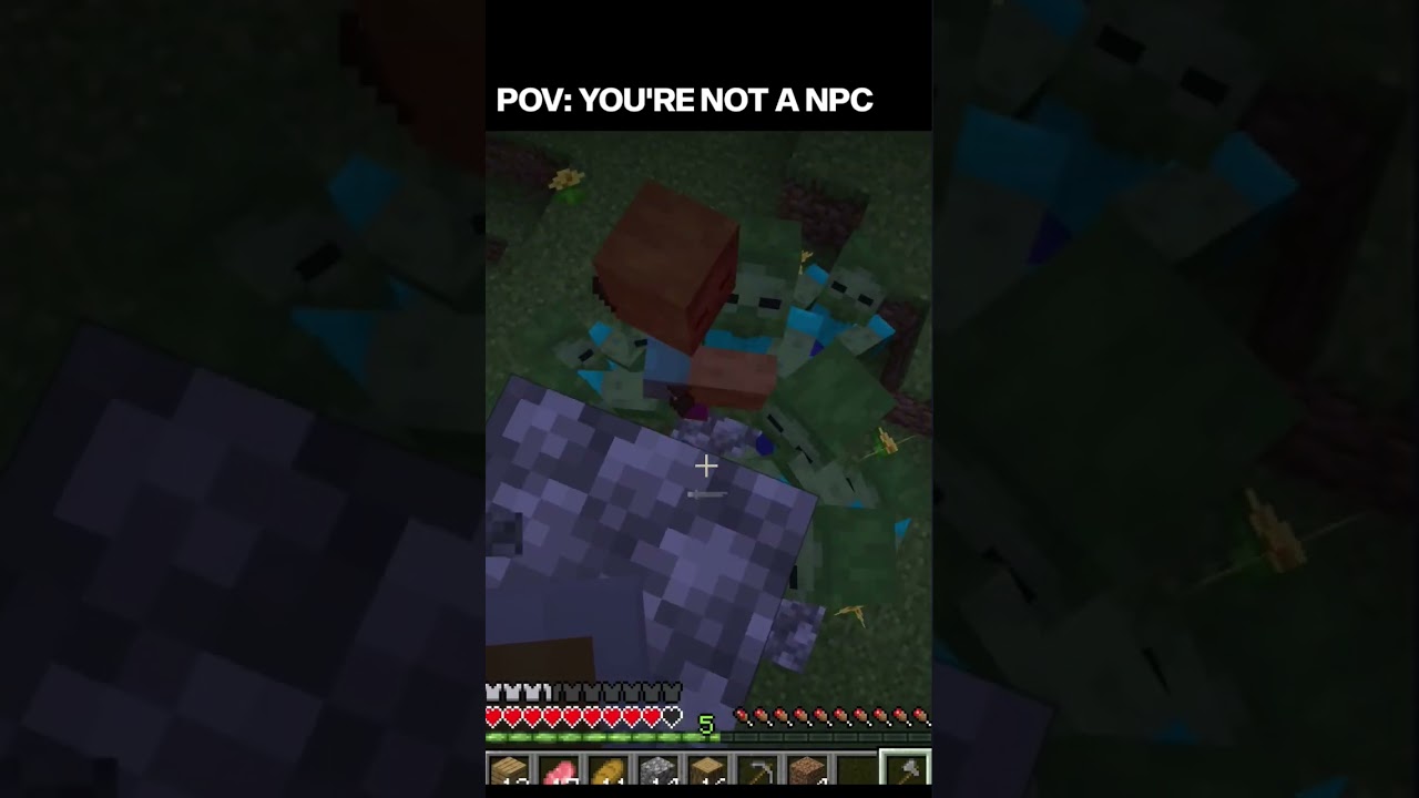 Minecraft NPC starter pack #minecraft