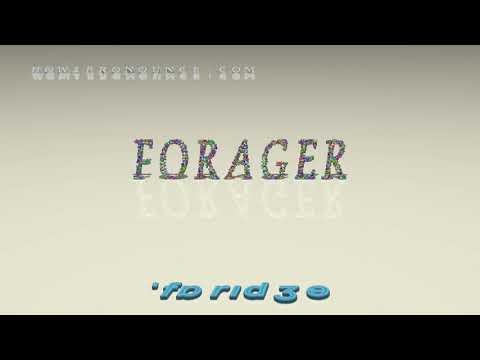 forager - pronunciation + Examples in sentences and phrases