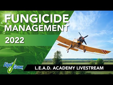 Fungicide: Real Time Feel of What’s in the Fields