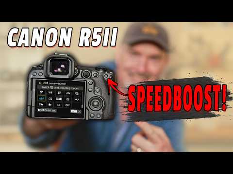 Canon R5 II: New features for wildlife photography