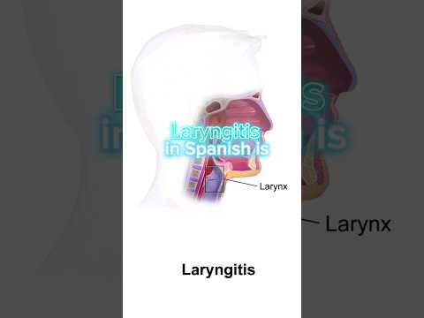 LARYNGITIS IN SPANISH | Medical Consecutive Interpreting