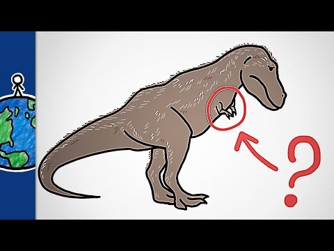 Why T. Rex Had Such Puny Arms