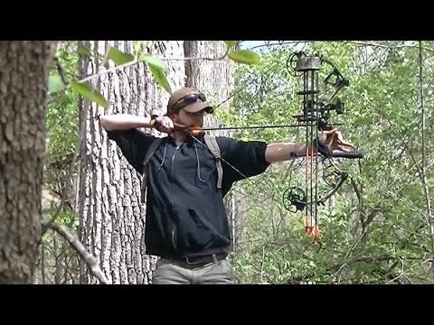 3D Archery Part 1. Detroit Sportsmans Congress Range.