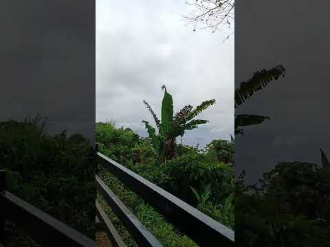 New Video Upload : Gentong Hagdanan sa Tagaytay – YourStories.inspires