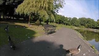 3 Best Parks in Newcastle Upon Tyne, UK - ThreeBestRated