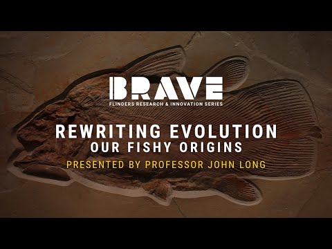 BRAVE | Rewriting Evolution: Our Fishy Origins