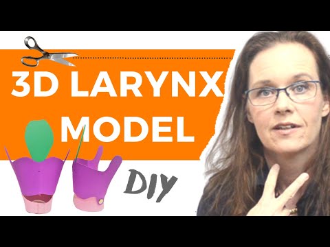 New Video: How to Make a 3D Larynx Model (DIY Instructions ...