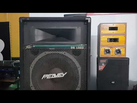 Loa PEAVEY - DS 1502 Mỹ Nòi .chất âm Ngọt ngào và sâu lắng từng nốt nhạc 🎵.Lh Tuấn Nam 0982664288