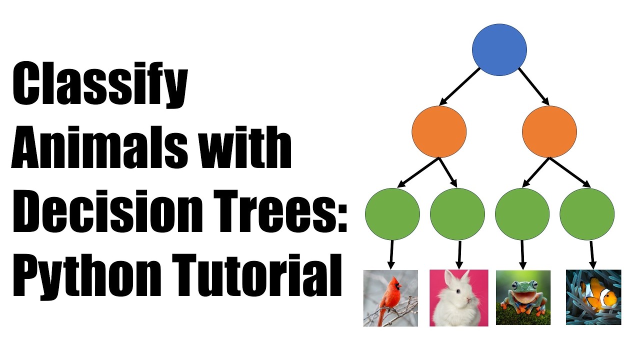 Classify Animals with Decision Trees: A Coding Tutorial
