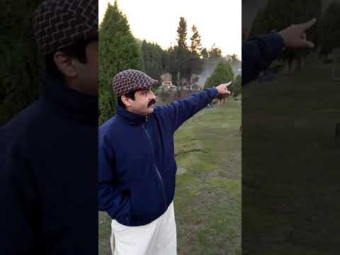 Fairy meadow detail urdu