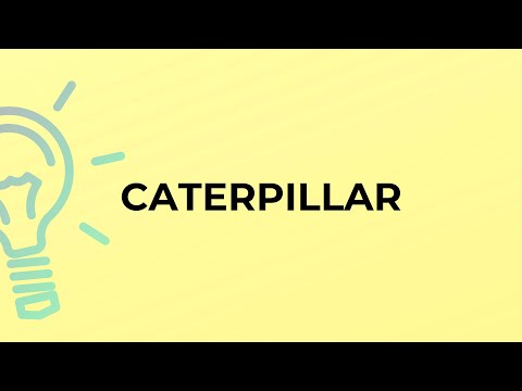 What is the meaning of the word CATERPILLAR?