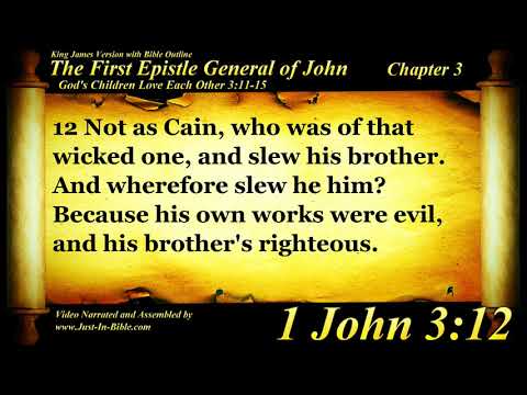 1 John Chapter 3 - Bible Book #62 - The Holy Bible KJV Read Along Audio/Video/Text