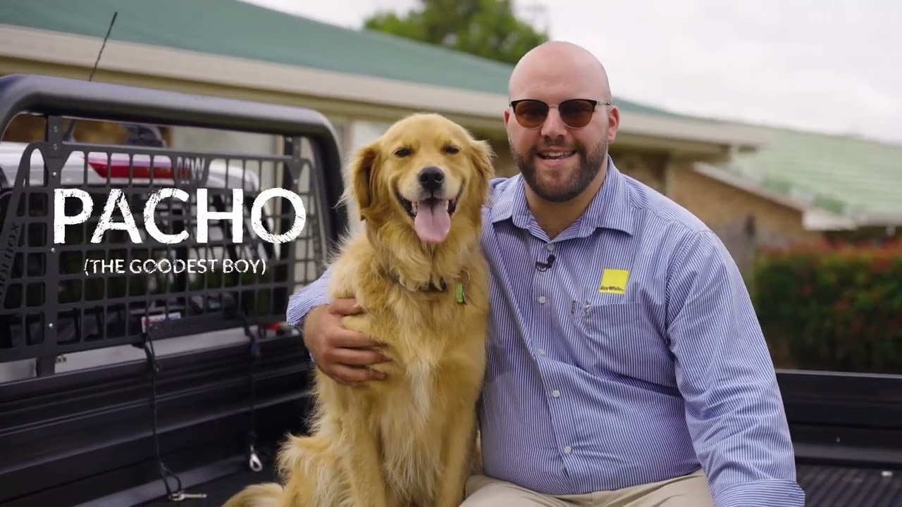 Ben Liesch - Ray White Toowoomba - Toowoomba - realcommercial.com.au