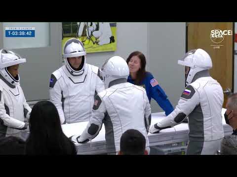 Scrub! NASA's SpaceX Crew-8 launch to the International Space Station delayed by weather
