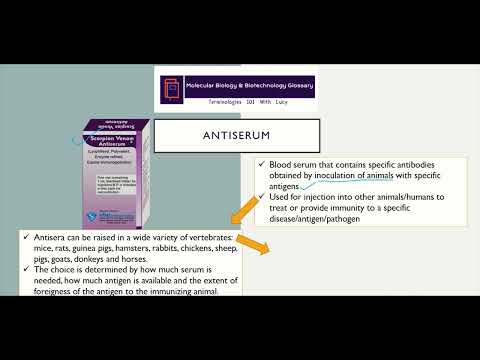 ANTISERUM #Glossary #Terminologies101withLucy #MolecularBiology #Biotechnology