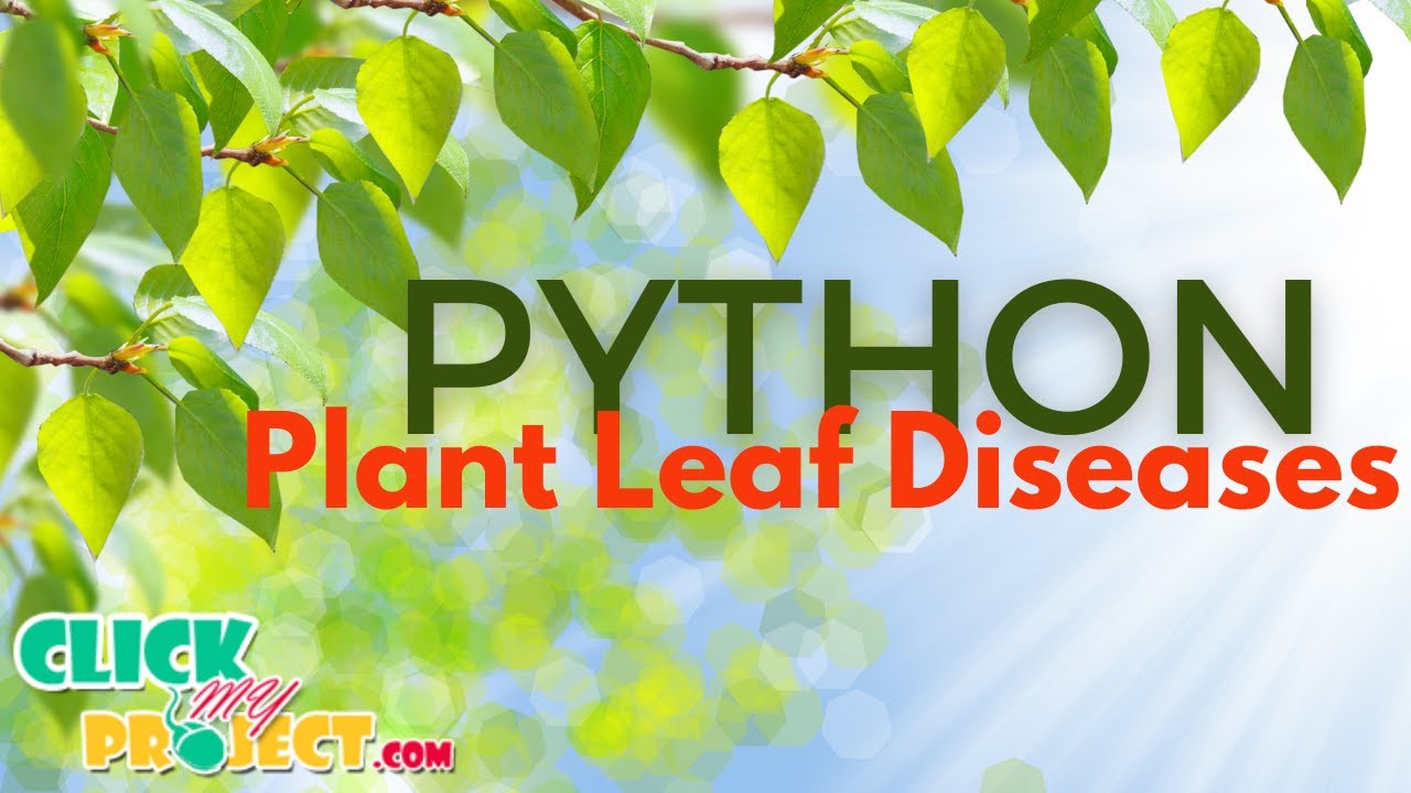 Python Image Processing Project - Plant Leaf Diseases - ClickMyProject