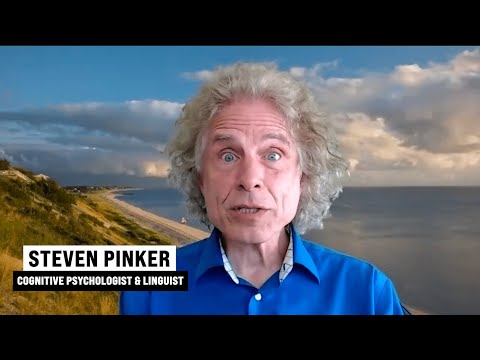 Steve Pinker talks with Helen Pluckrose for Counterweight – Why ...