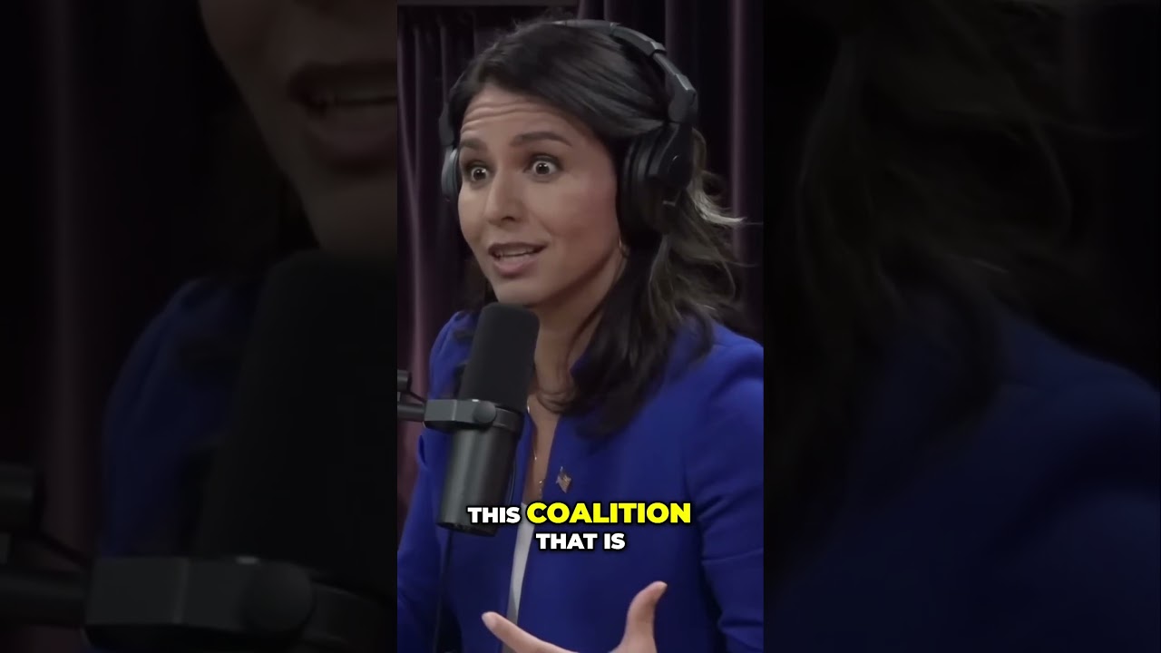 Tulsi Gabbard DESTROYS The Deep State On The Joe Rogan Experience