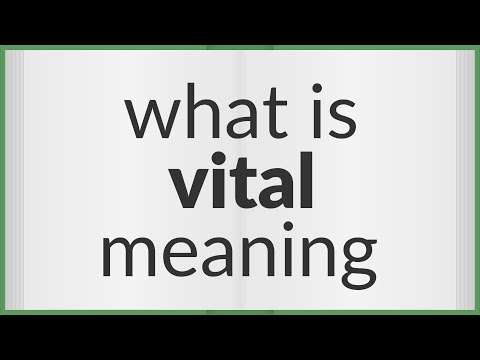Vital | meaning of Vital