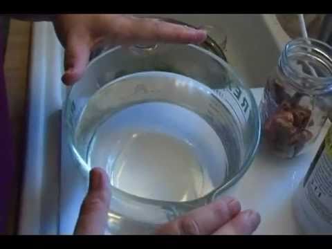 How's It Growing?: Homemade pesticide