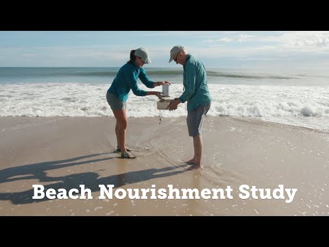 Research Highlight: Long-term Impacts of Beach Nourishment on Shoreline Ecosystems