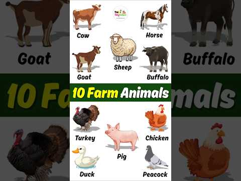 Farm Animals for Toddlers ๐๐ | Learn Animal Names #farmanimals