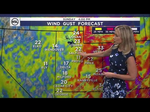 Afternoon forecast for June 21, 2025