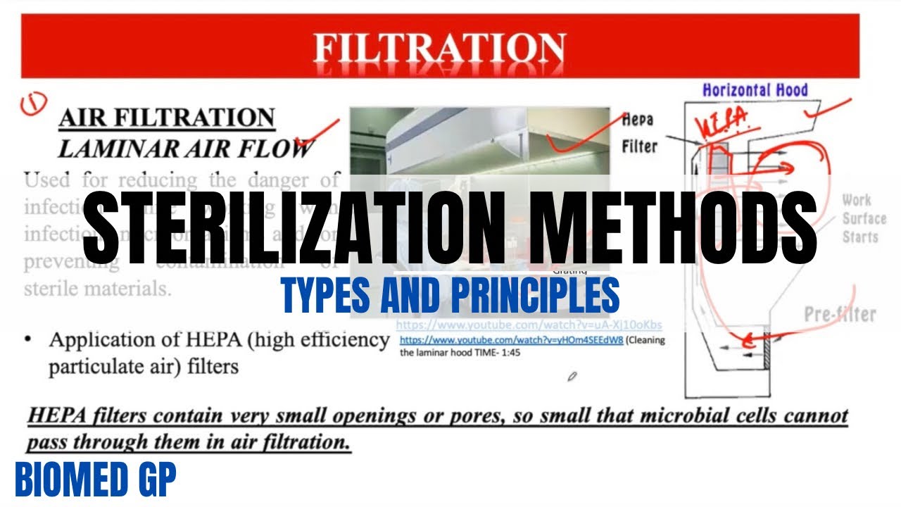 Understanding Sterilization Methods: Physical and Chemical Techniques | Galaxy.ai