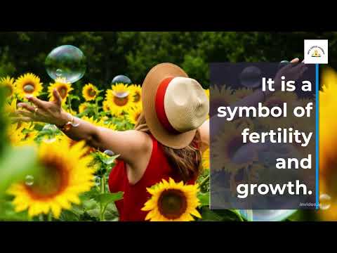 What Does The Sunflower Symbolize? Understanding The Meaning Behind This Beautiful Plant's Name.