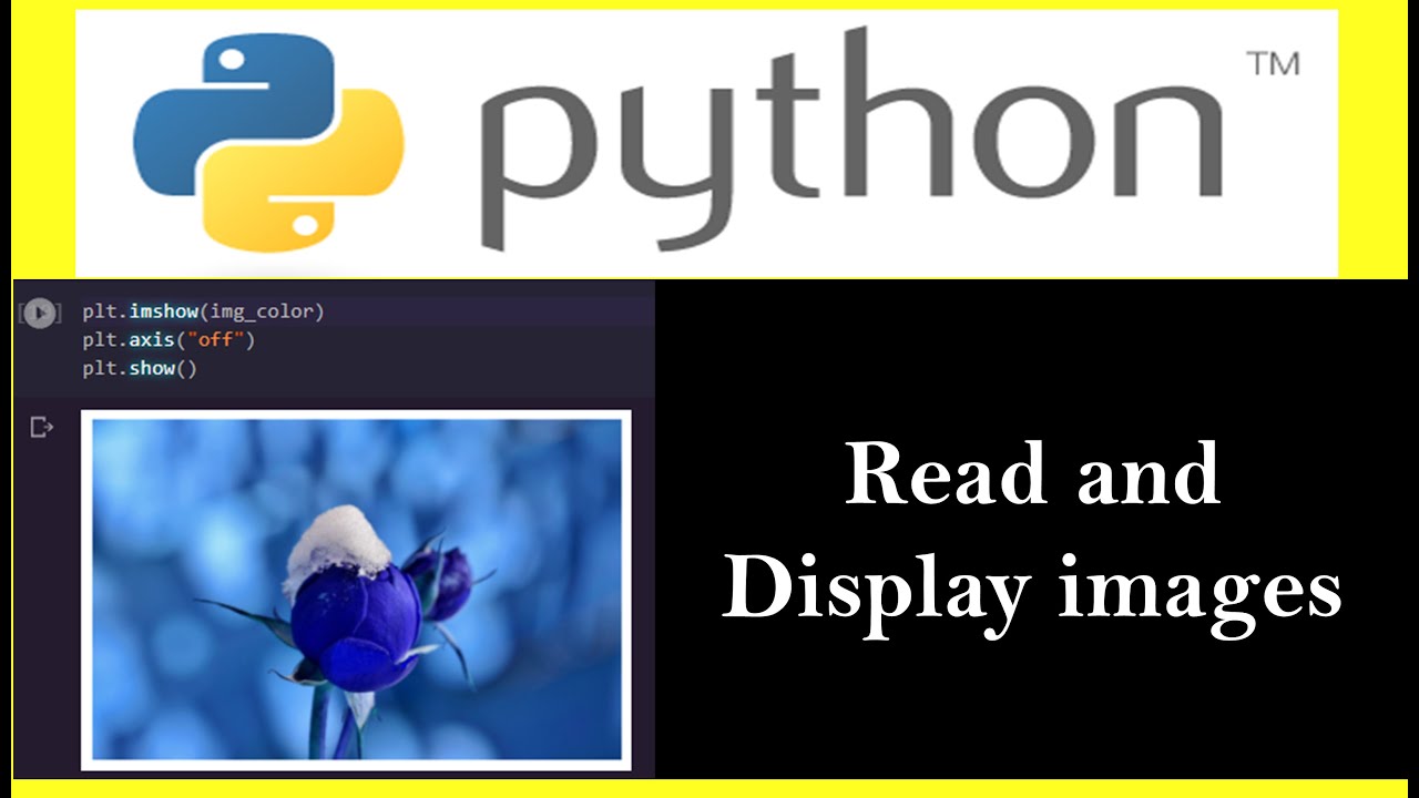 How to Load Image in Python ? | Read Image in Python | #pythonforbeginners