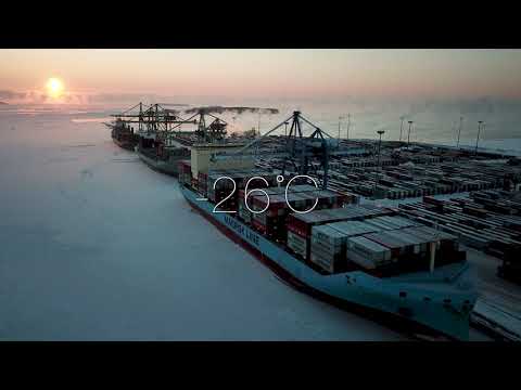 Logistic Services for Sawmills