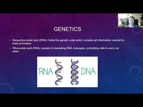 Phlebotomy - Chapter 4