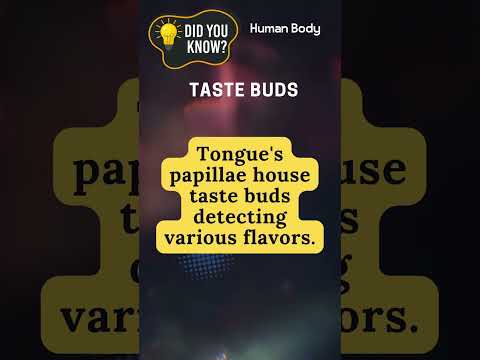 Taste Buds