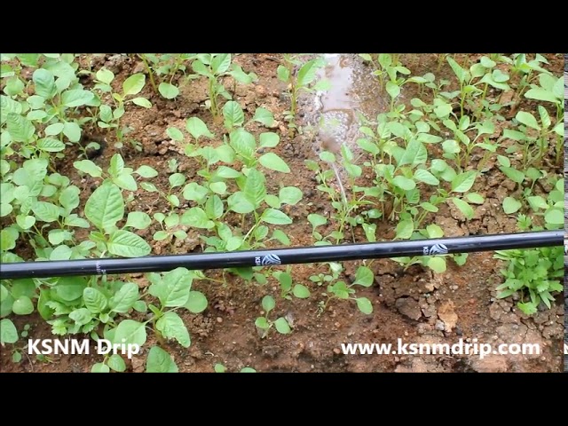 FLAT INLINE DRIP IRRIGATION - Flat Drip Irrigation Lateral Manufacturer ...
