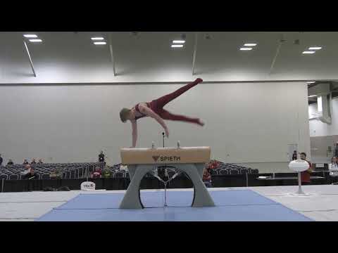 Riley Loos - Pommel Horse - 2025 Winter Cup - Senior Men Day 1