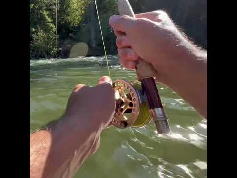 What Every Fisherman DREAMS About!