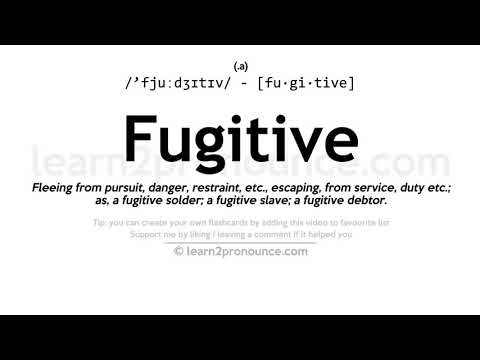 Pronunciation of Fugitive | Definition of Fugitive