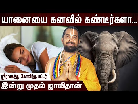 கனவு பலன்கள் | Dream | Palan | elephant | Aanmeegam | Bakthi speech | aanmeega thagavalgal