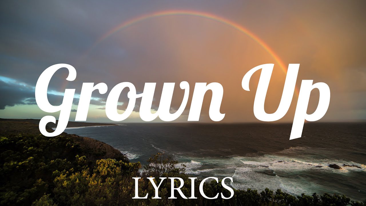 Danny Brown - Grown Up (Lyrics)
