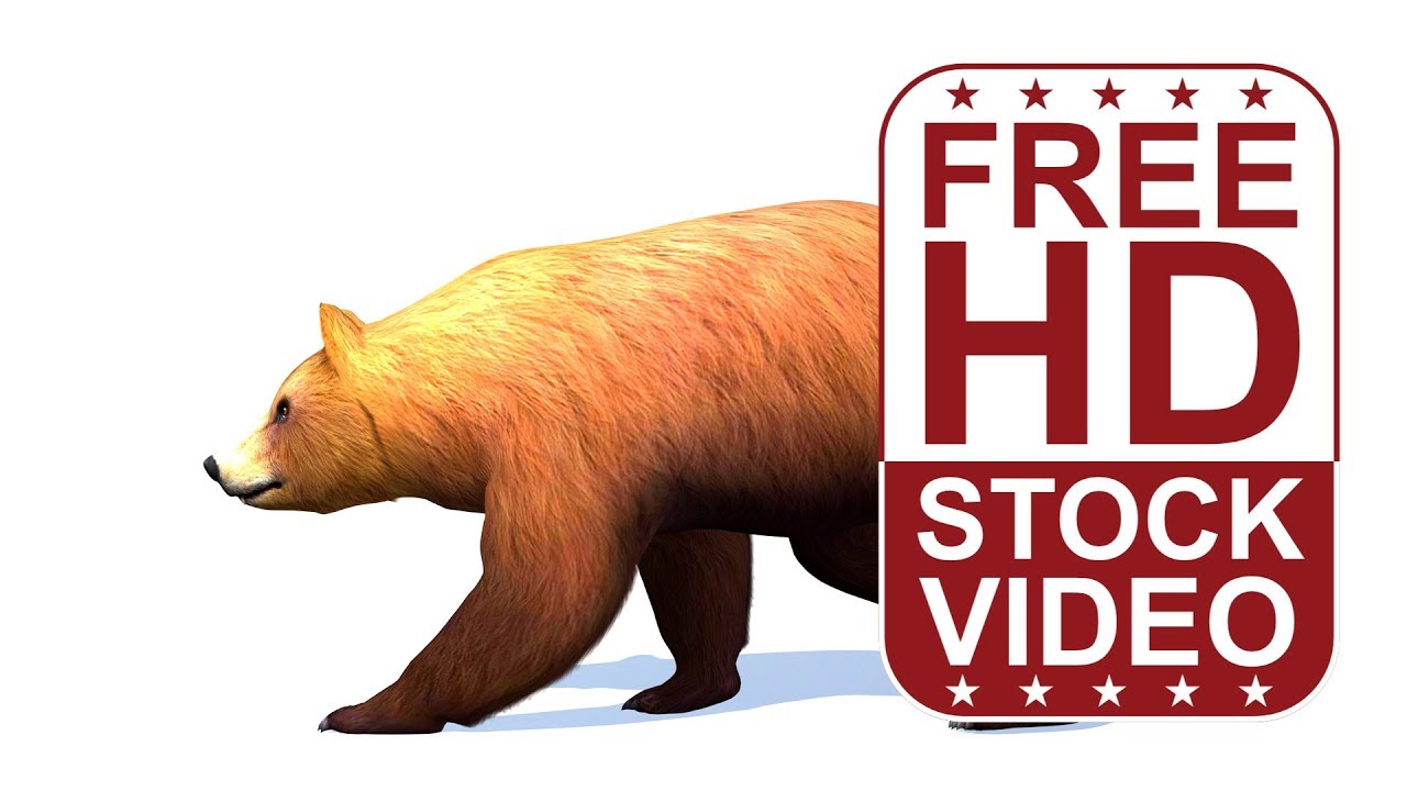Free Stock Videos – animal animations brown bear walking on white background with shadows