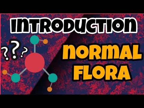 Normal microbial flora Introduction #microbiology #biotechnology