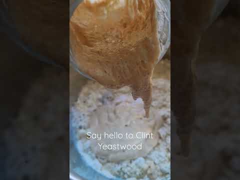 Sourdough starter name reveal!