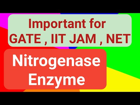 Nitrogenase Enzyme (Metalloenzyme) :Structure & Activity