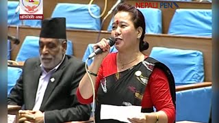 Nepali Pen
